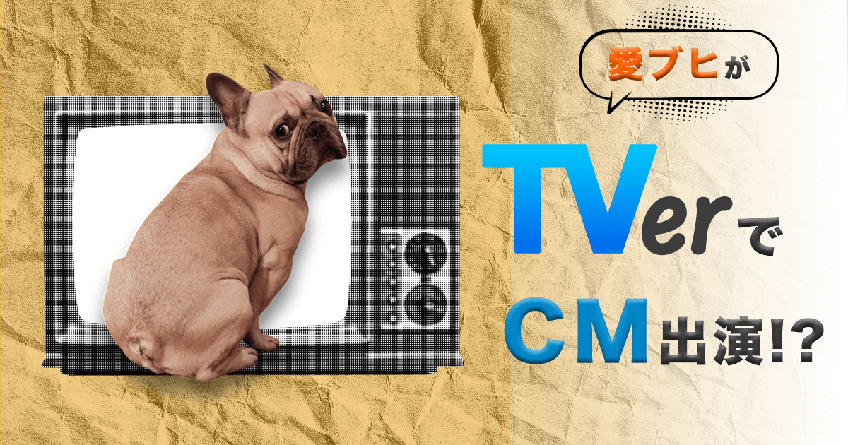 【愛ブヒがTVerのCMに出演!?】THE fu-do（ザ・フード）一周年記念！ビッグなキャンペーンスタート【全員掲載も】 | フレンチブルドッグライフ